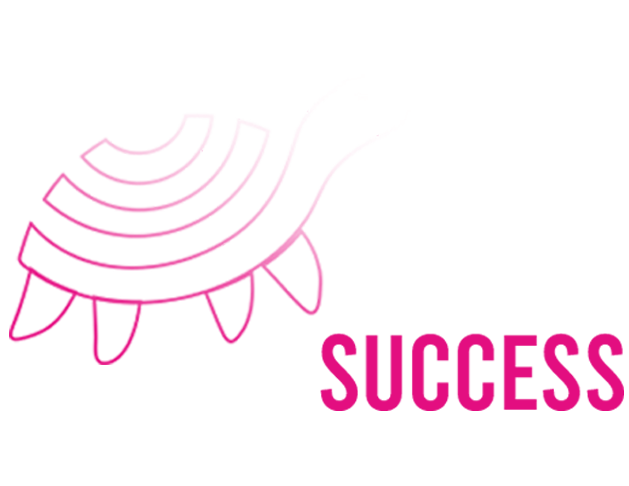 What We Do Pinkturtle